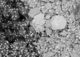 扫描电镜Apreo 2 -赛默飞SEM