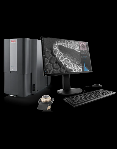 赛默飞品牌主要扫描电镜介绍-扫描电镜SEM