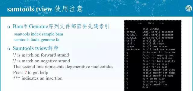 测序数据可视化 (一)-samtools tview