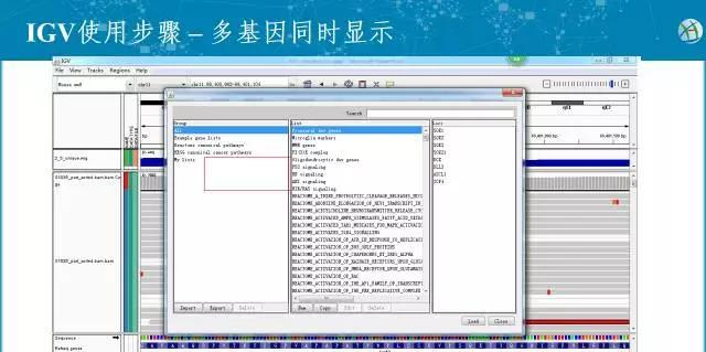 测序数据可视化 （二）- IGV