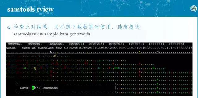 测序数据可视化 (一)-samtools tview